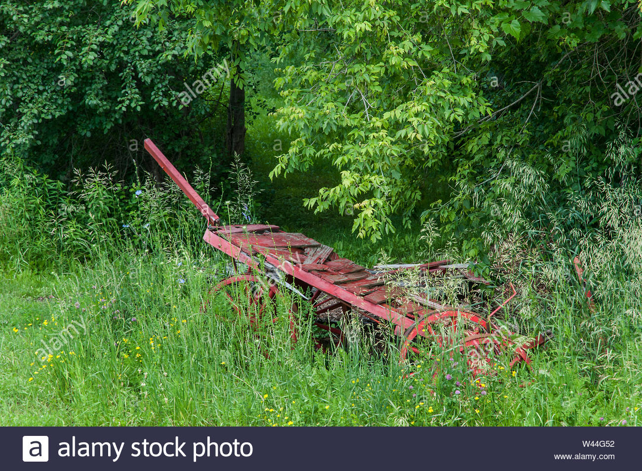 Wagon Trees High Resolution Stock Photography and Images - Alamy