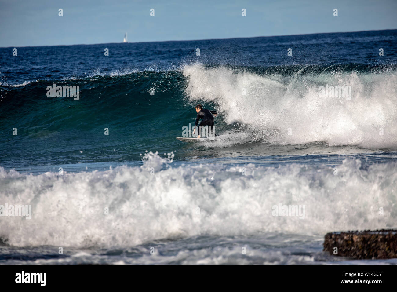 Sydney, man surfing the waves at Avalon beach on Sydney northern ...