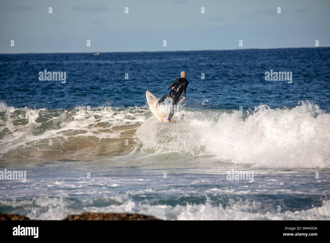 Australian male surfer on top of the wave at a Sydney beach in ...