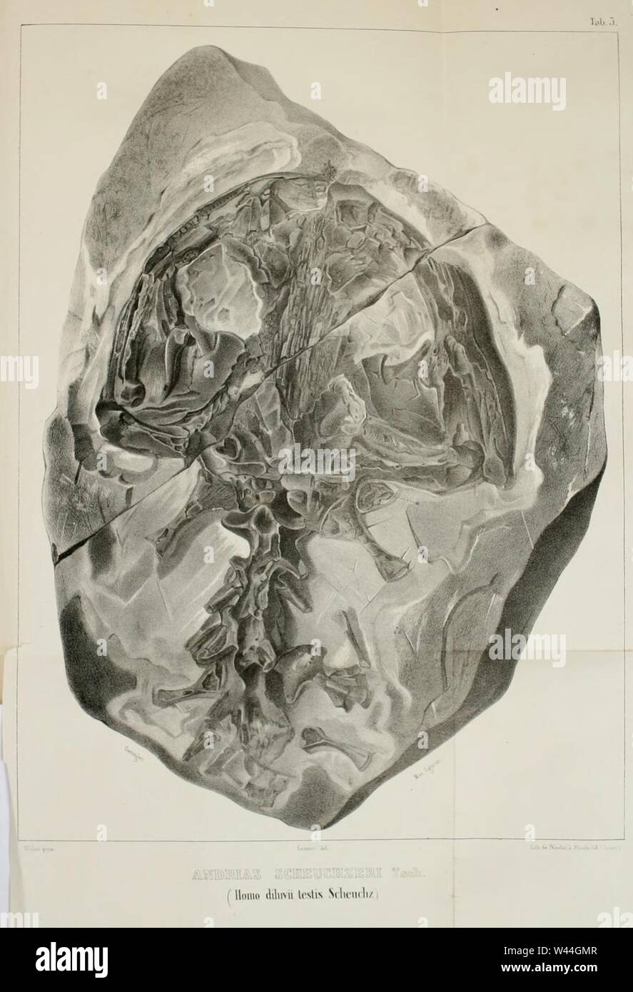 Image classification hi-res stock photography and images - Alamy