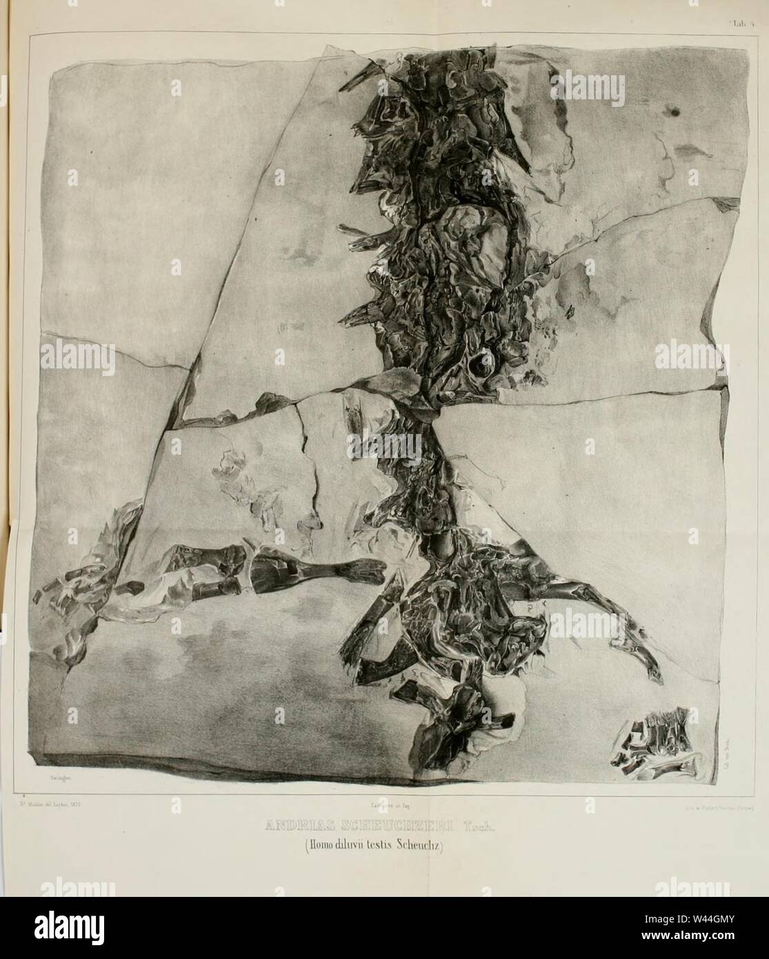 Image classification hi-res stock photography and images - Alamy