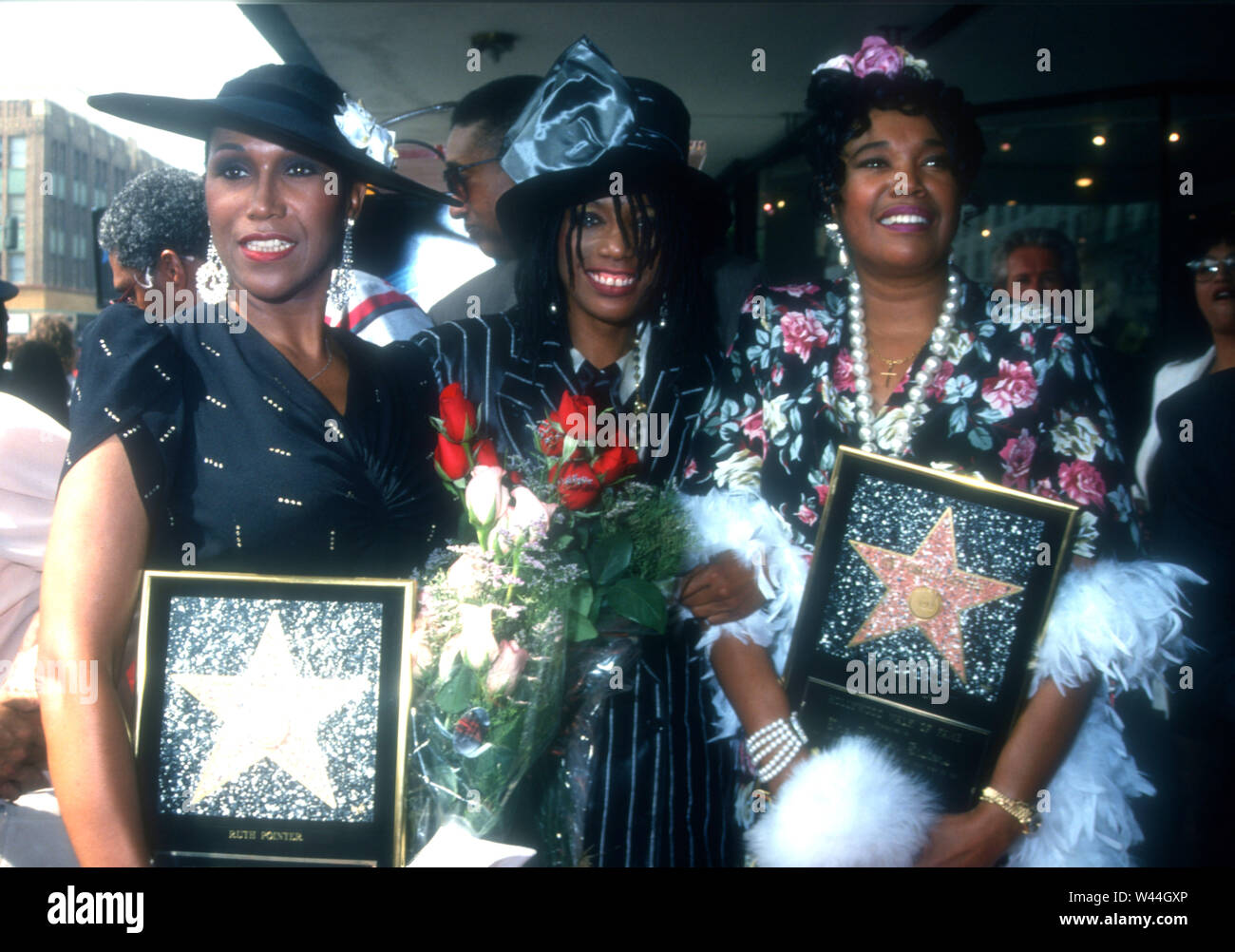 June pointer pointer sisters hi-res stock photography and images - Alamy