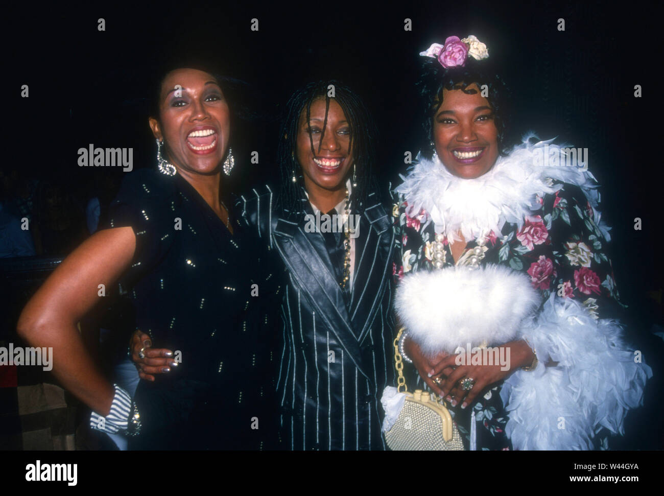 Anita Pointer High Resolution Stock Photography and Images - Alamy