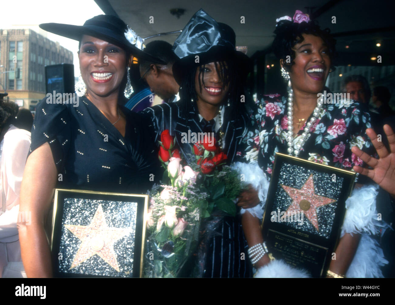 June pointer hi-res stock photography and images - Alamy