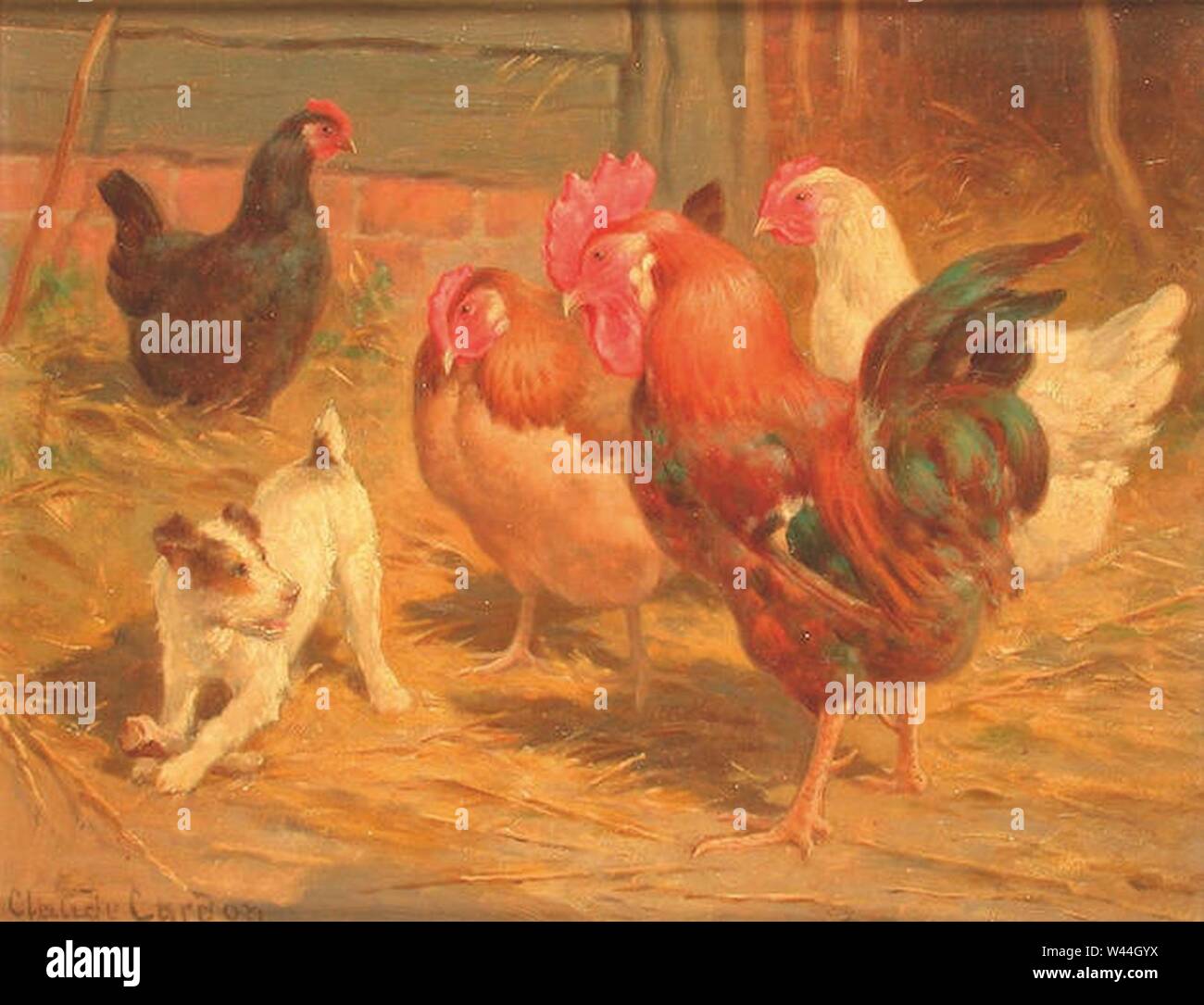 Puppy and chickens hi-res stock photography and images - Alamy
