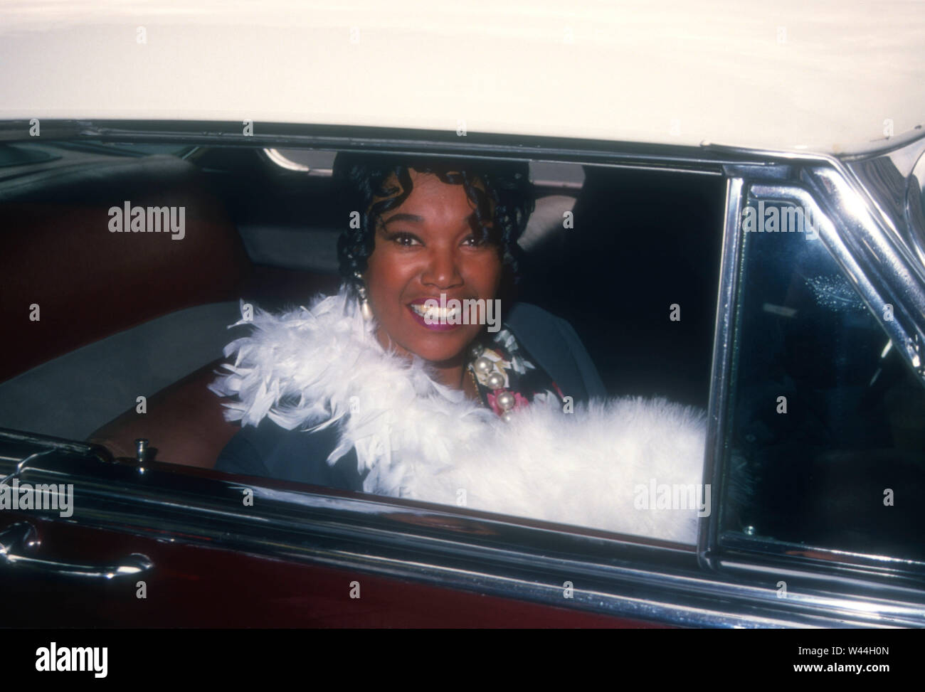 Hollywood, California, USA 29th September 1994 Singer Anita Pointer ...