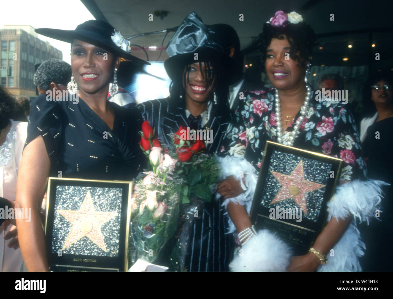 June pointer pointer sisters hi-res stock photography and images - Alamy