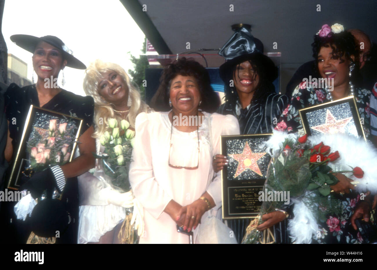 June pointer hi-res stock photography and images - Alamy