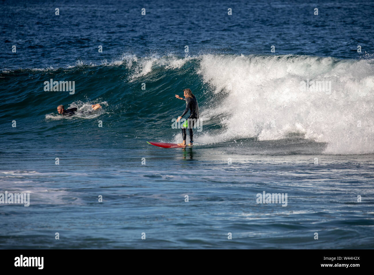 Australian surfers at Avalon beach in Sydney surfing the waves Stock ...