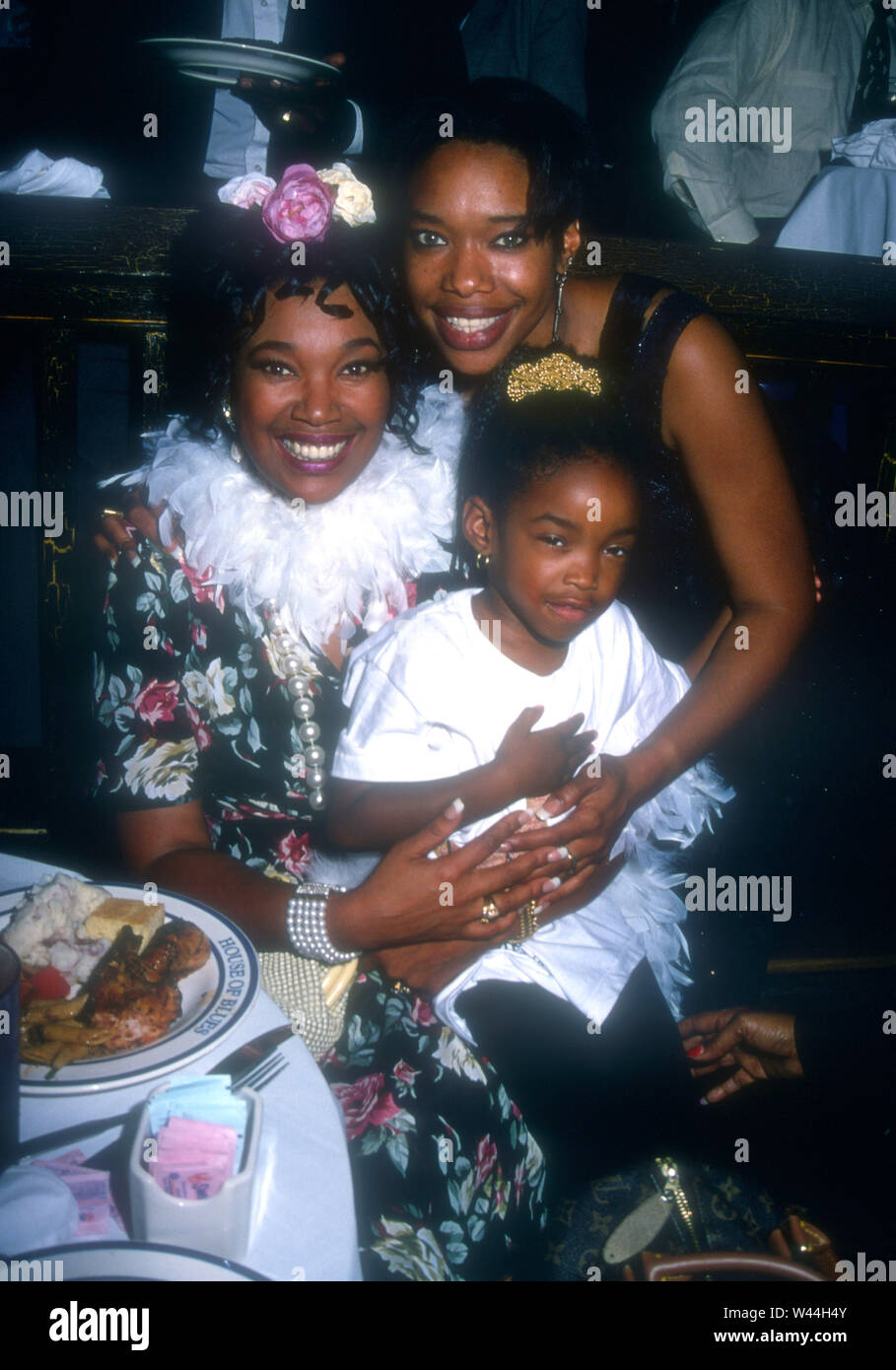 Anita pointer hi-res stock photography and images - Alamy