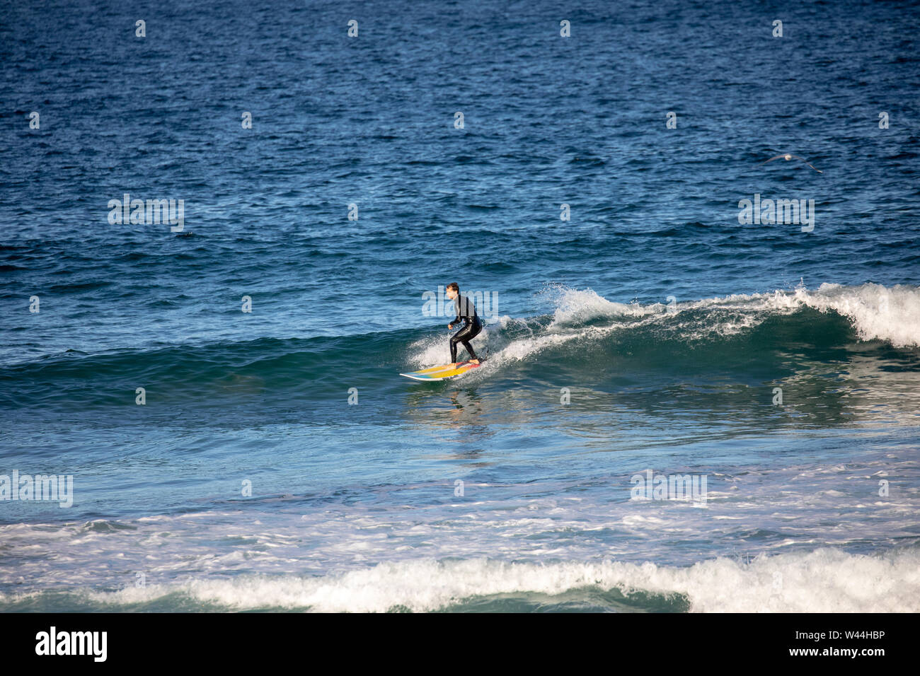 Australian male surfer hi-res stock photography and images - Alamy
