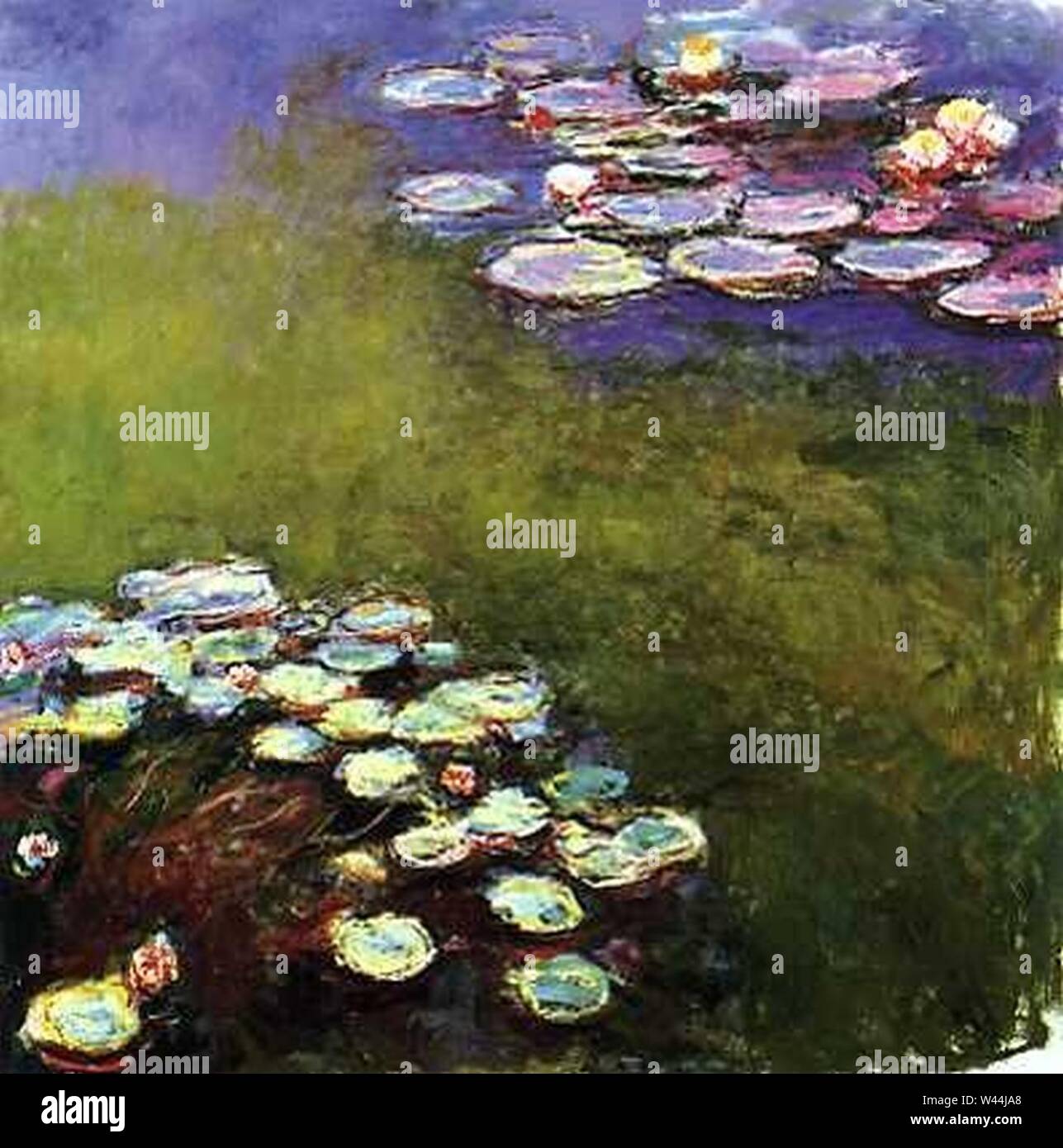 Monet nymphéas marmottan hi-res stock photography and images - Alamy