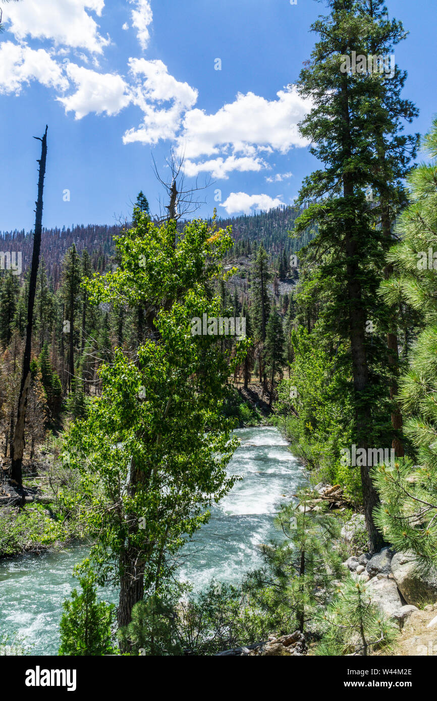 The South Fork of the Stanislaus River near Dardanelles burned trees ...