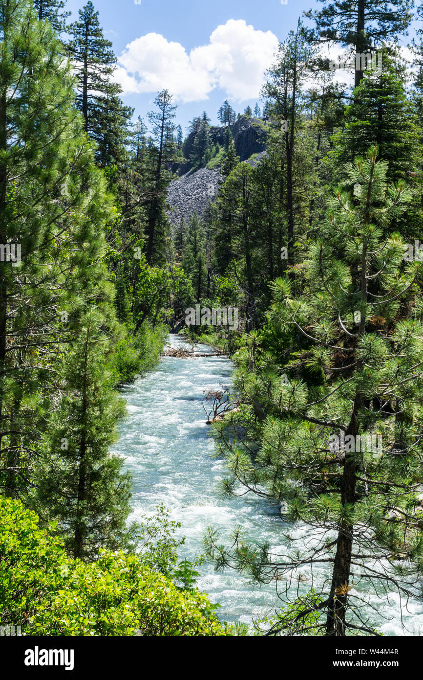The South Fork of the Stanislaus River near Dardanelles burned trees ...