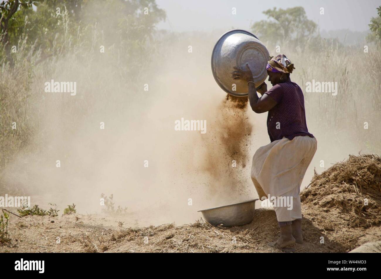 Cleaning soya (8203372746 Stock Photo - Alamy