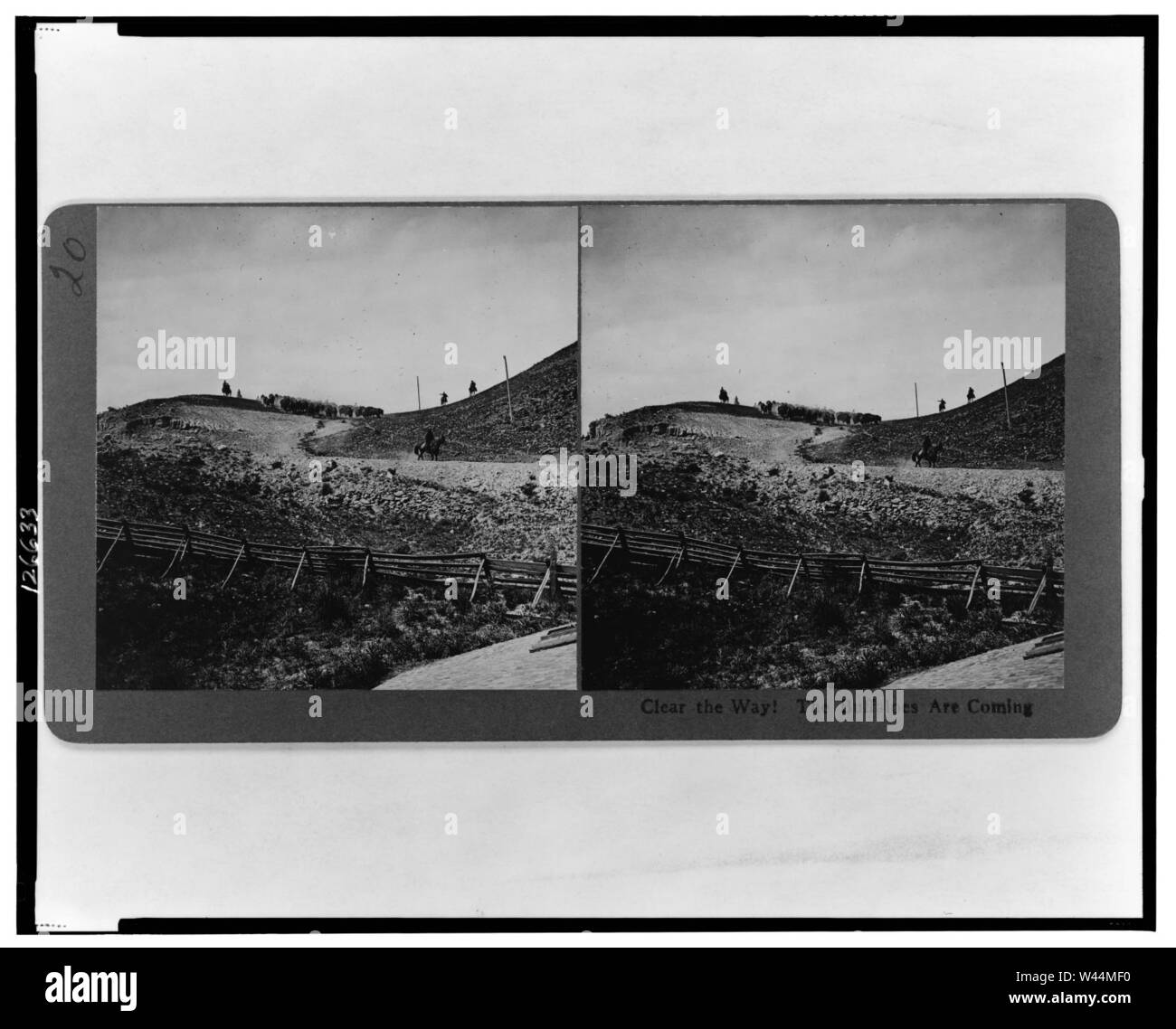 Buffalo photo Cut Out Stock Images & Pictures - Alamy