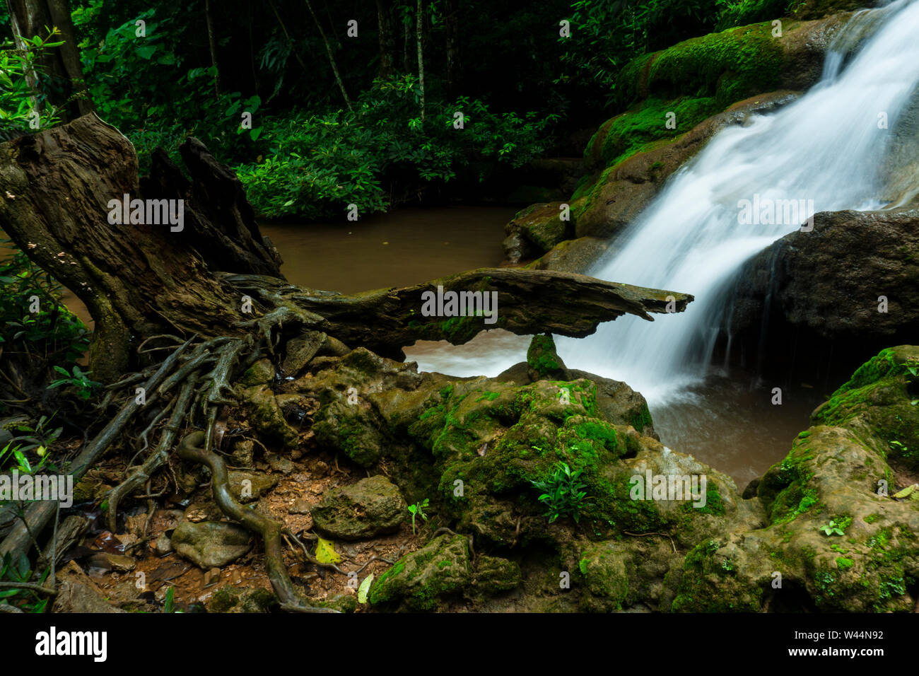 Waterfalls in the rainy season, wetness in the rainy season Stock Photo ...