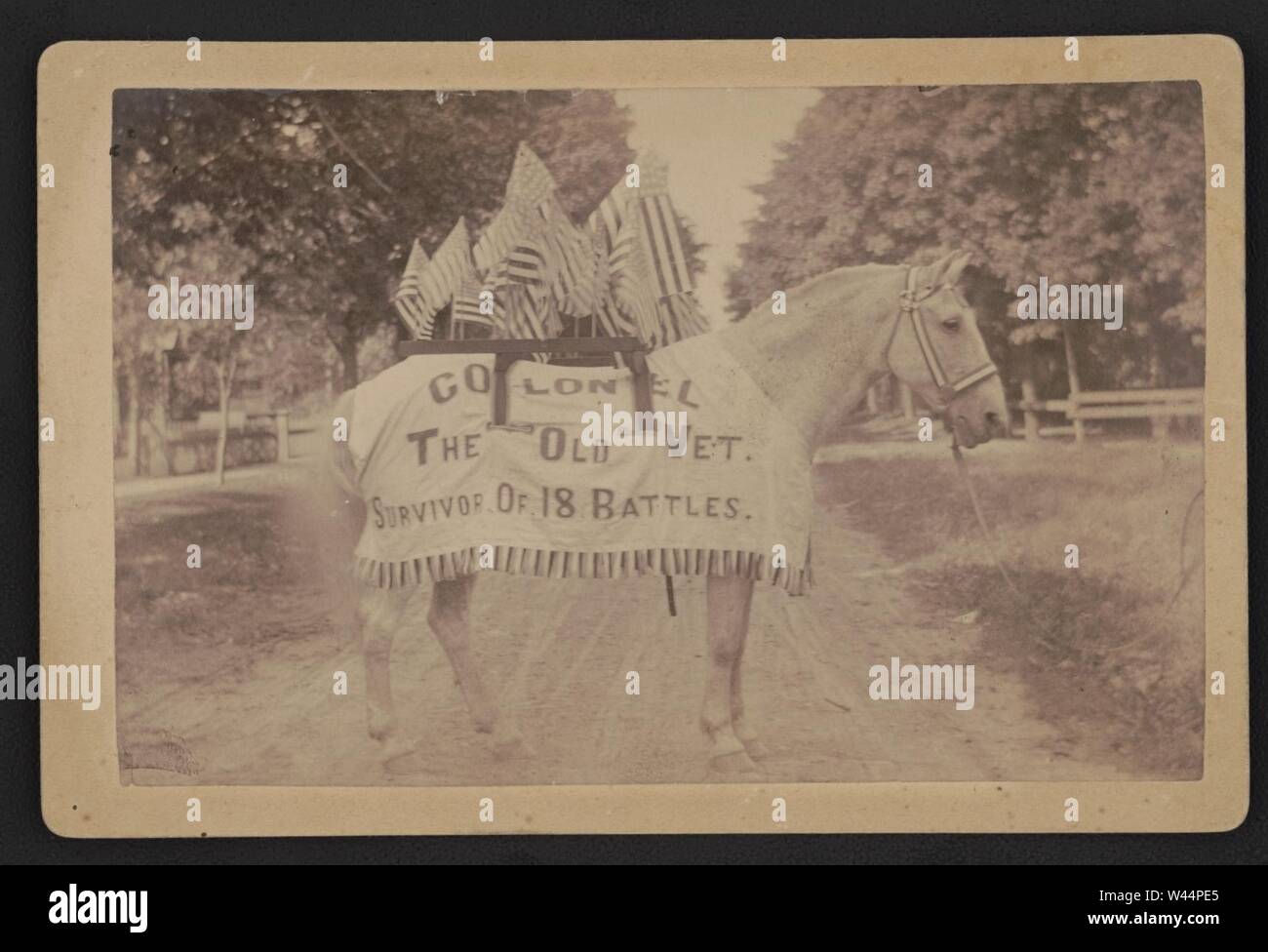 Colonel, the old vet, survivor of 18 battles - J.A. Rose, photographer ...