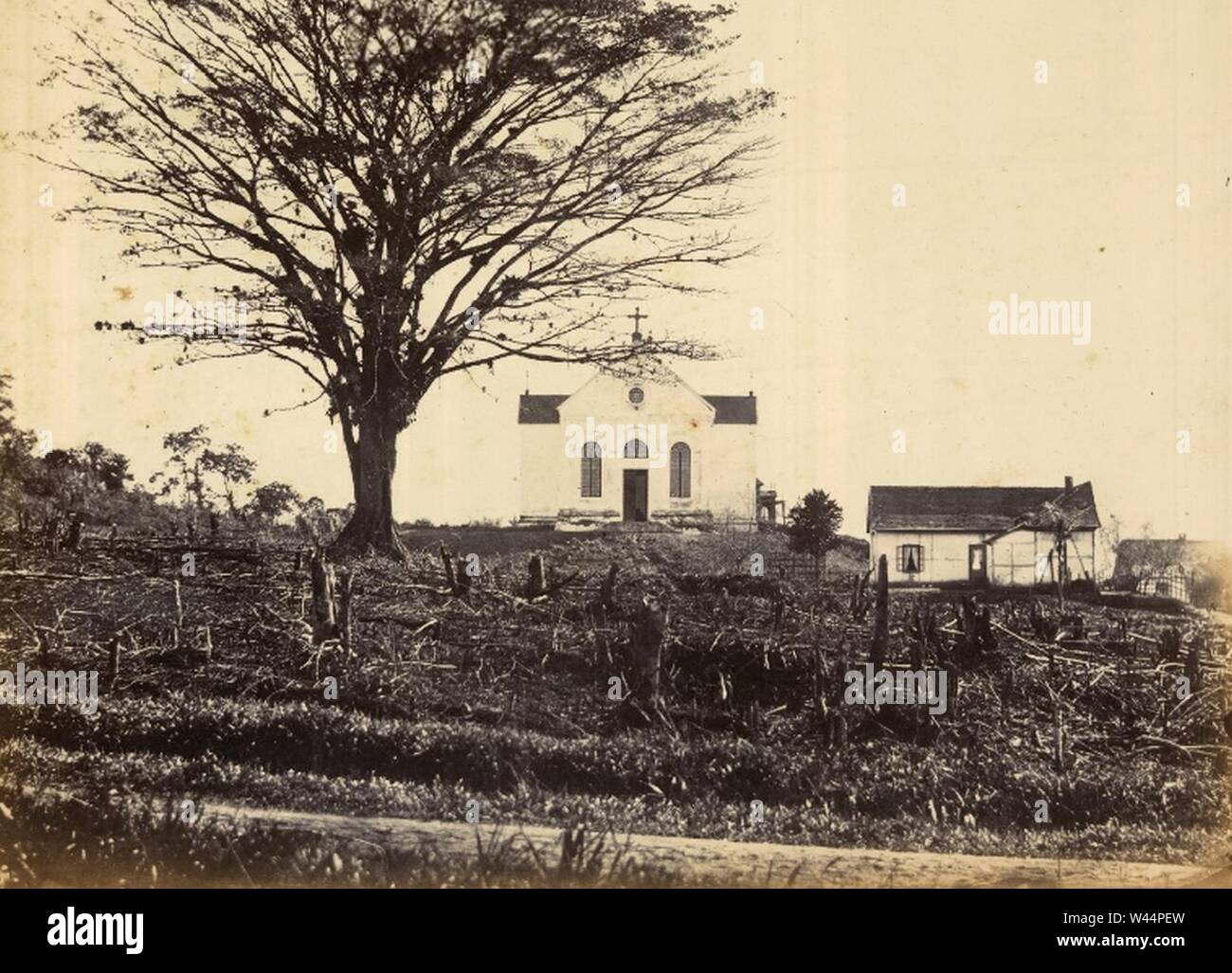 Dona francisca hi-res stock photography and images - Alamy