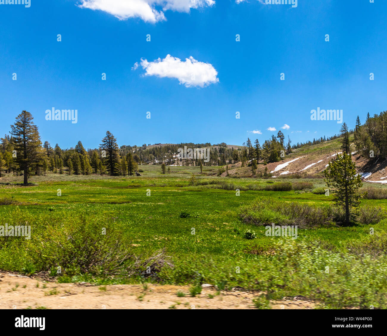 Along California Route 108 through the Sierra Nevada Mountains in ...