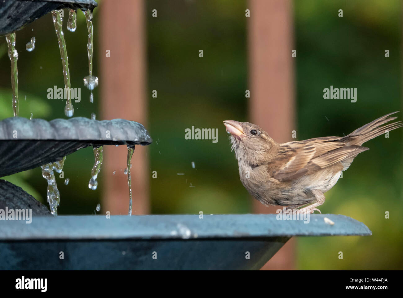 The water is falling Stock Photo - Alamy