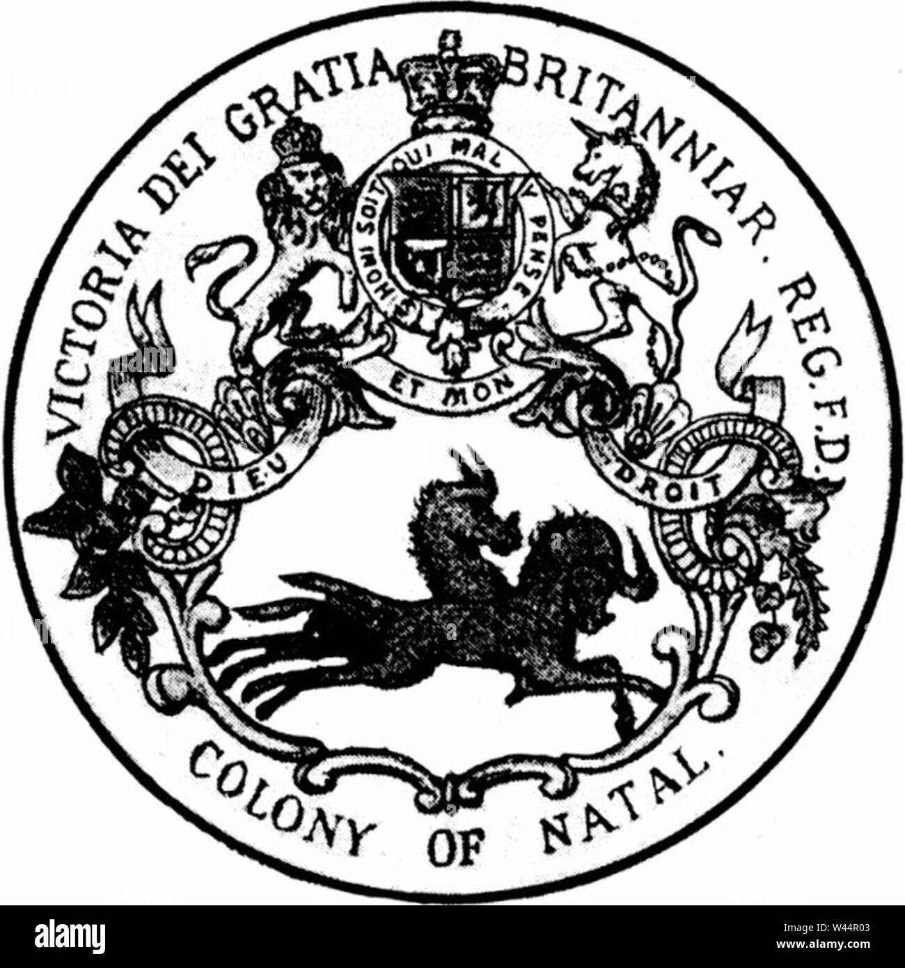 Colony of Natal's Great Seal Stock Photo - Alamy