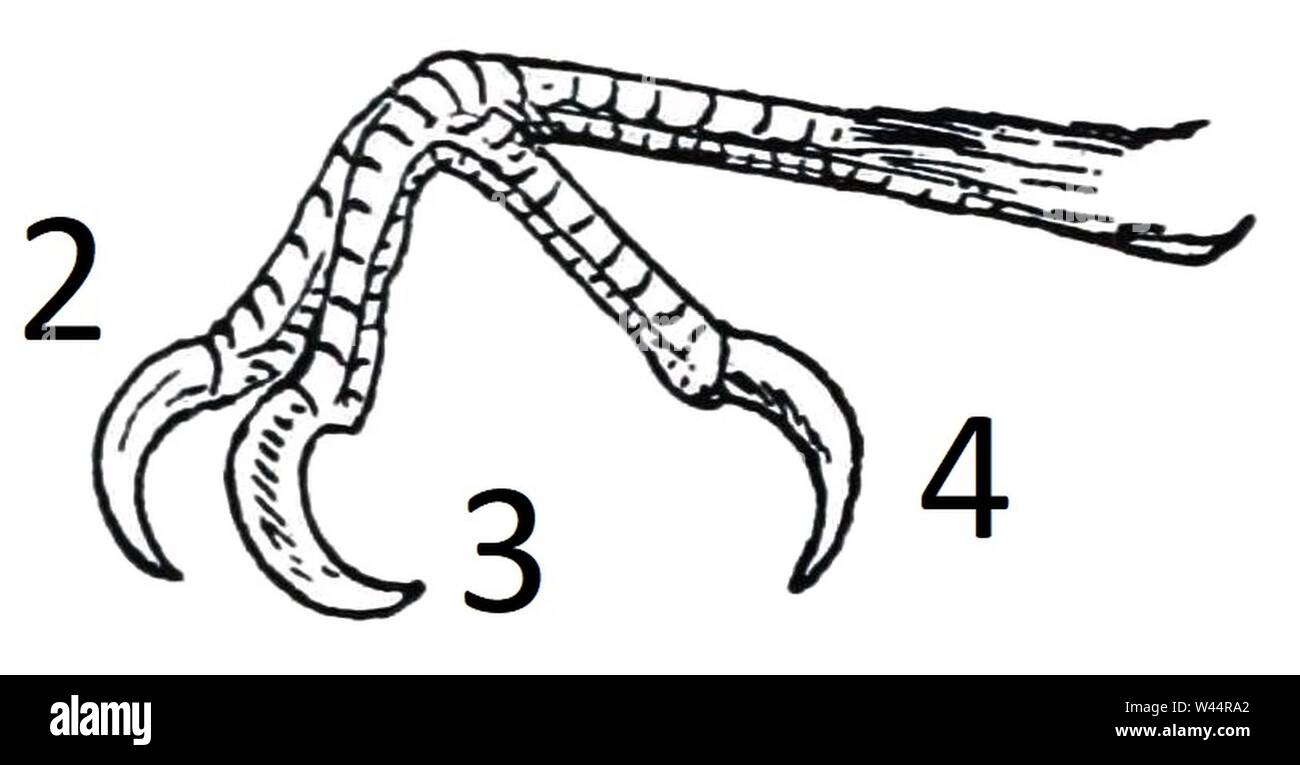 North key Cut Out Stock Images & Pictures - Alamy