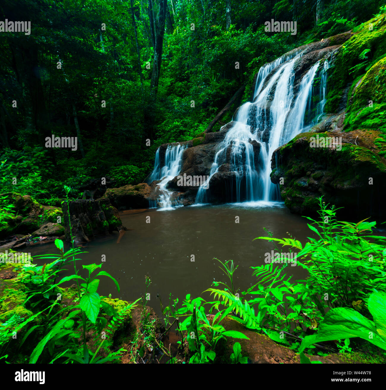 Waterfalls in the rainy season, wetness in the rainy season Stock Photo ...