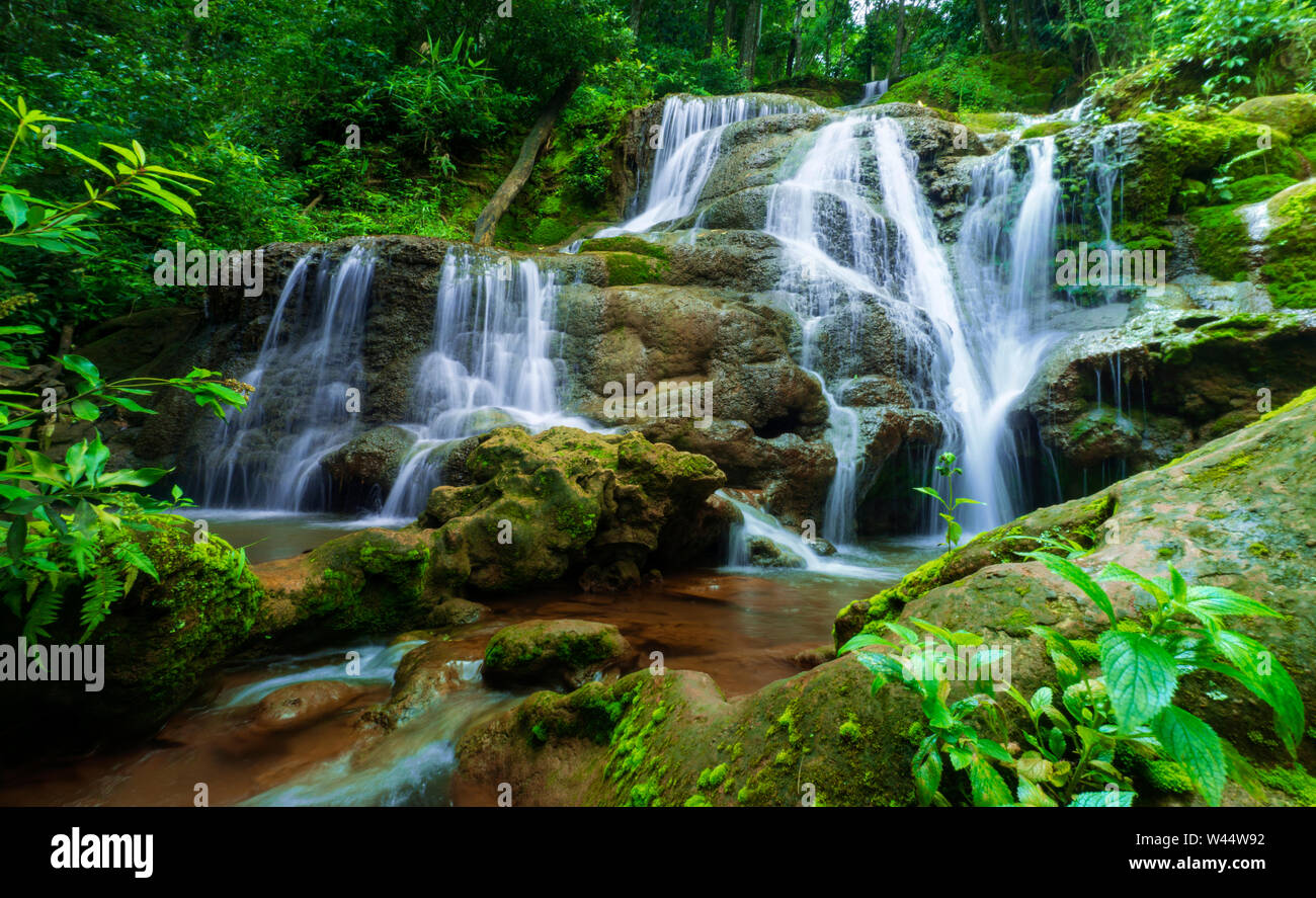 Waterfalls in the rainy season, wetness in the rainy season Stock Photo ...
