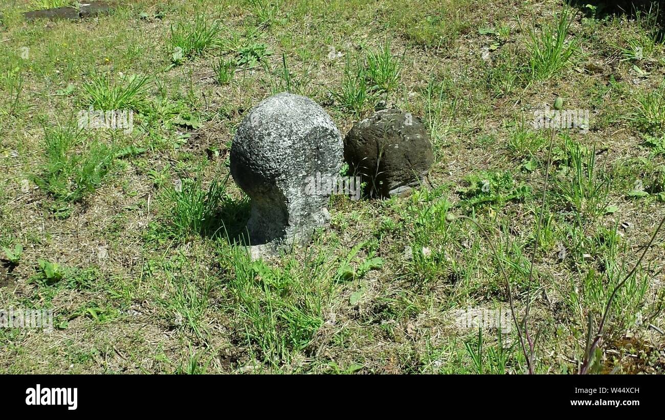 Columelle hi-res stock photography and images - Alamy