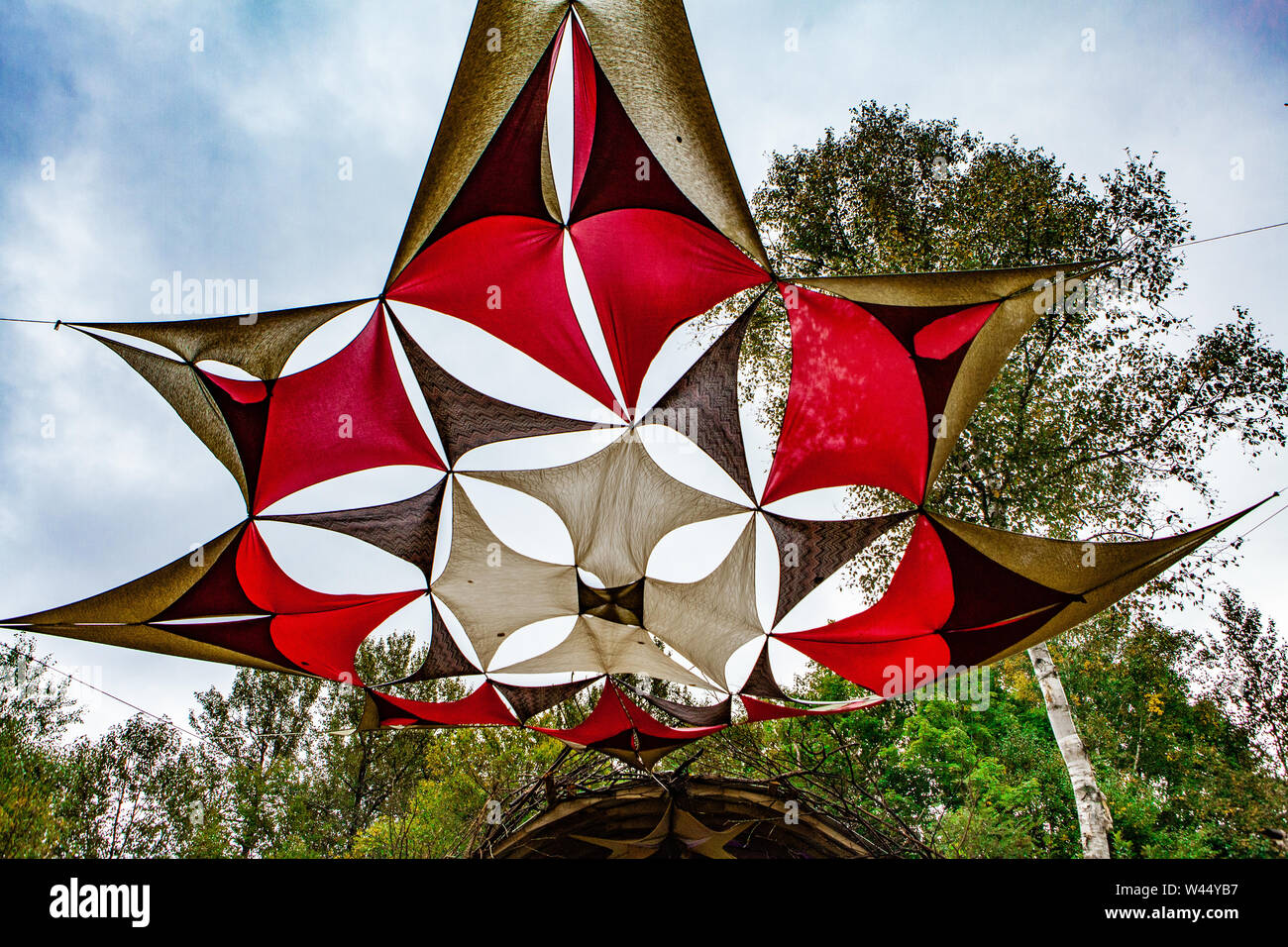 An artistic canopy is seen from below, hanging from woodland trees ...