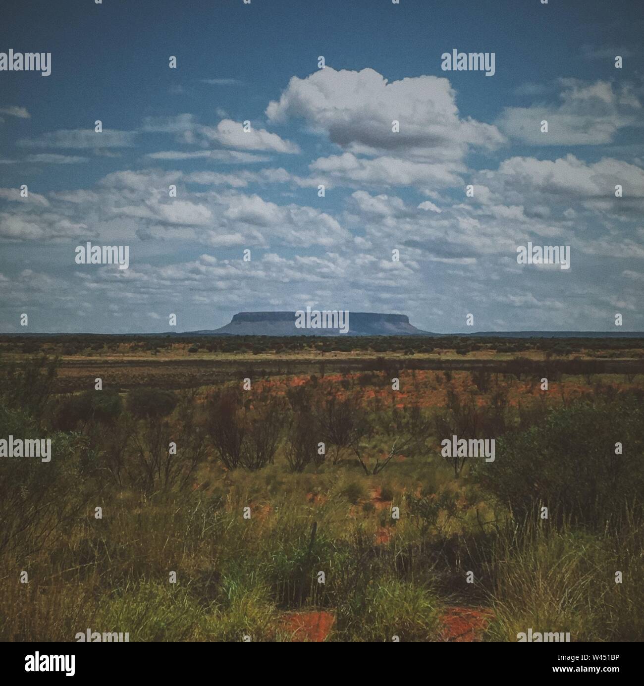 Dry grass field with a mountain in the background with clouds in the ...