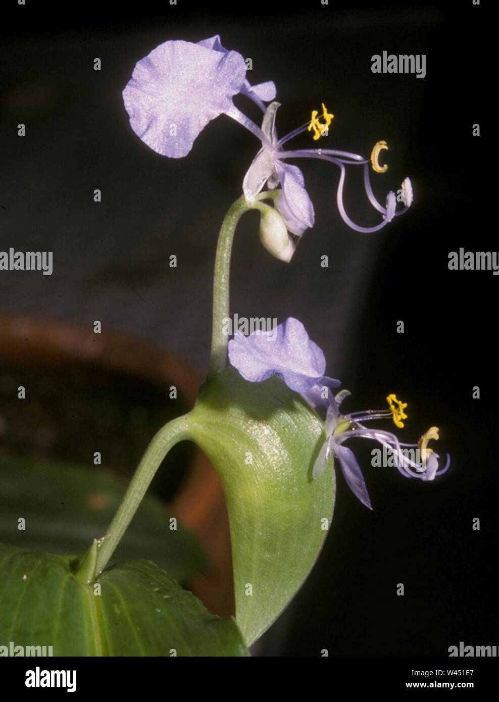 Faden faden hi-res stock photography and images - Alamy