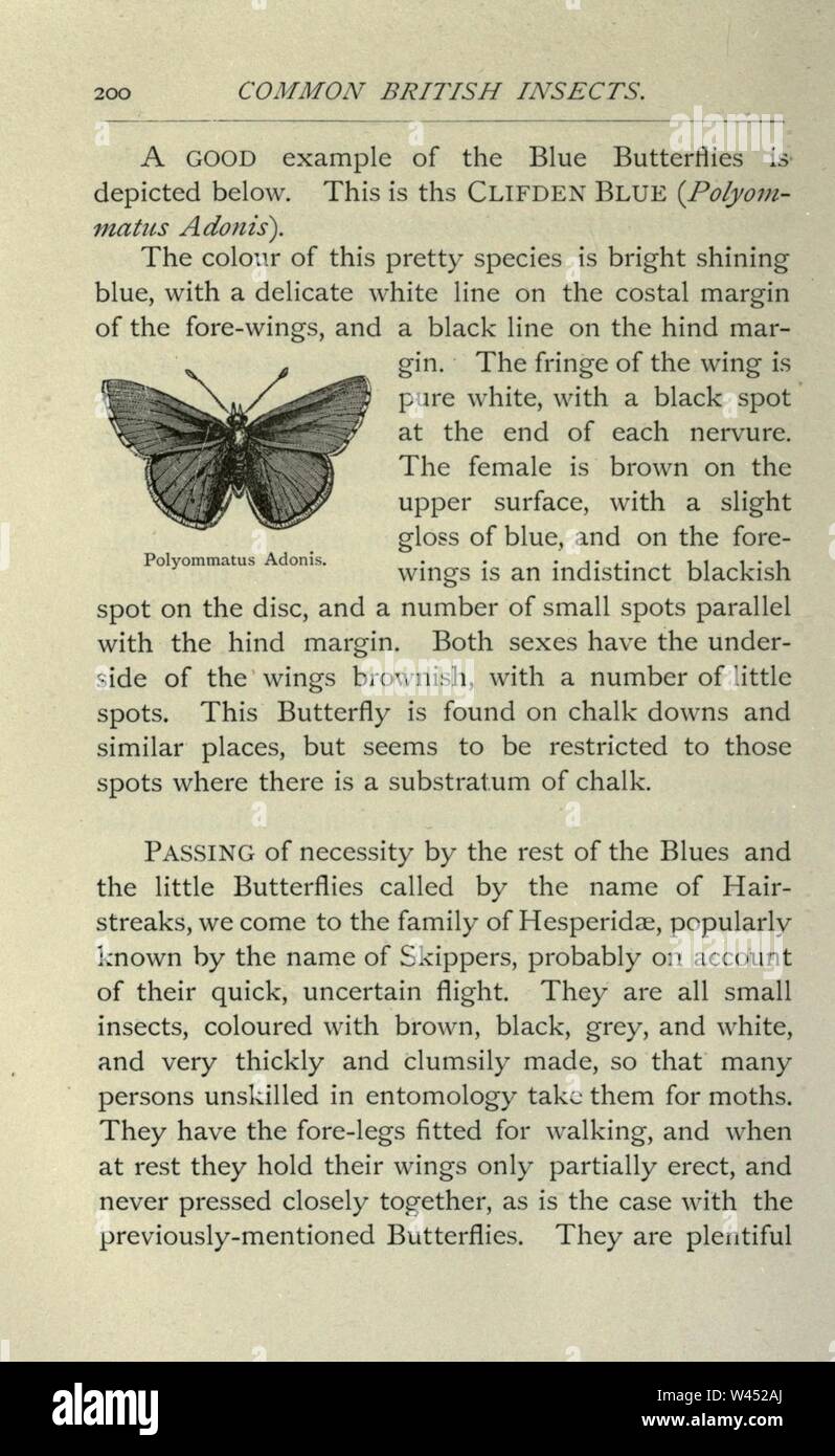 Common British insects selected from the typical beetles, moths, and ...