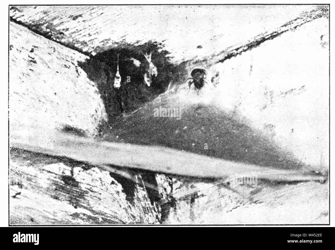 U 231 Black and White Stock Photos & Images - Alamy