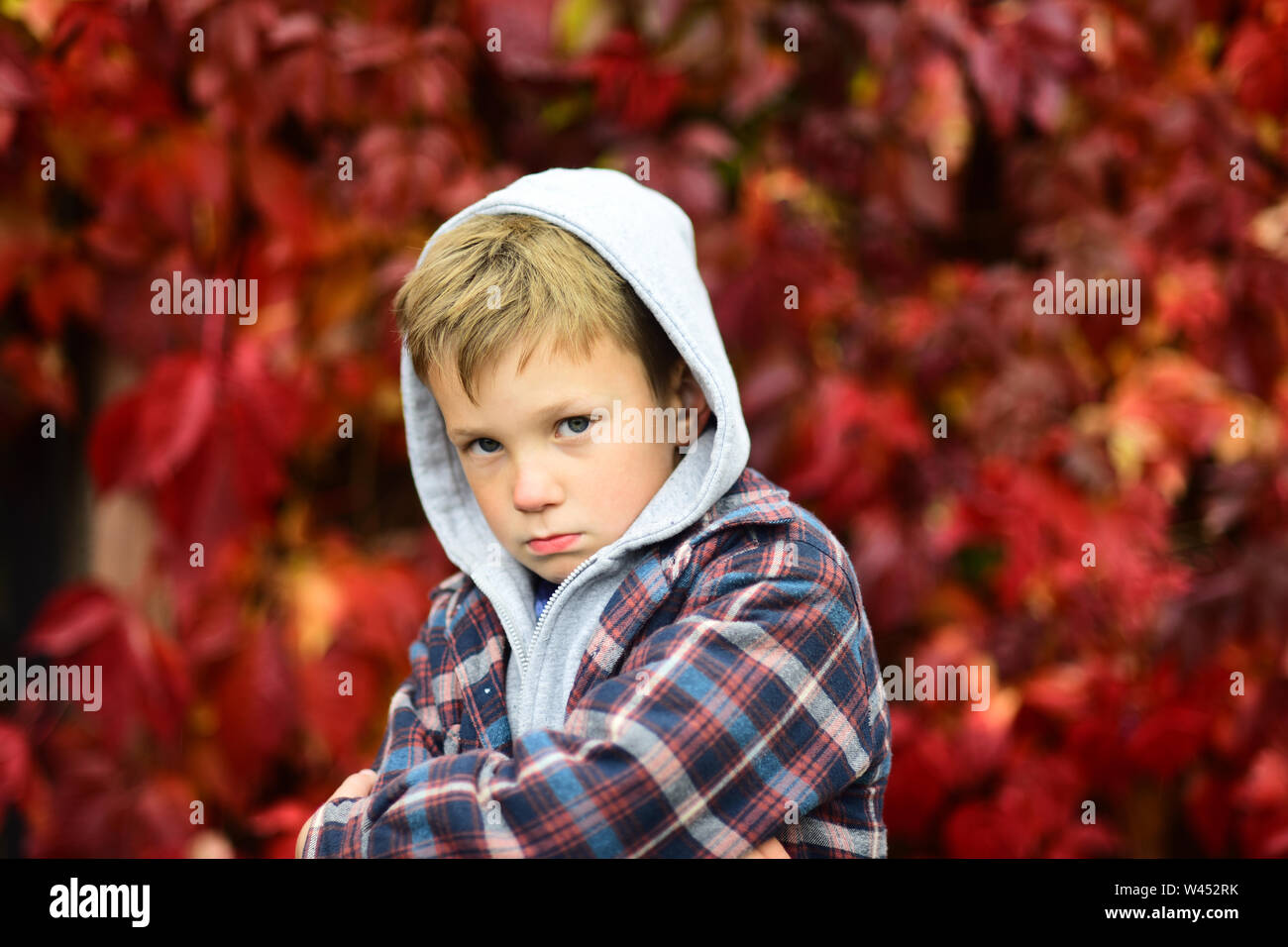 Upset a little. Upset boy. Little boy feel sad on autumn day. Unhappy ...