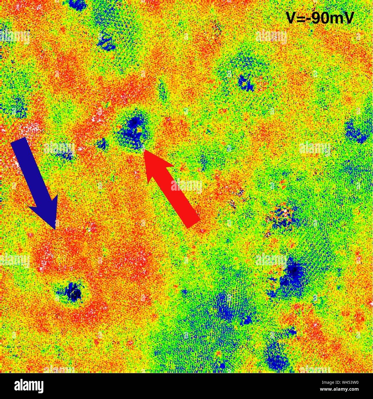 Comparison STM topographic image of a section of graphene sheet with ...