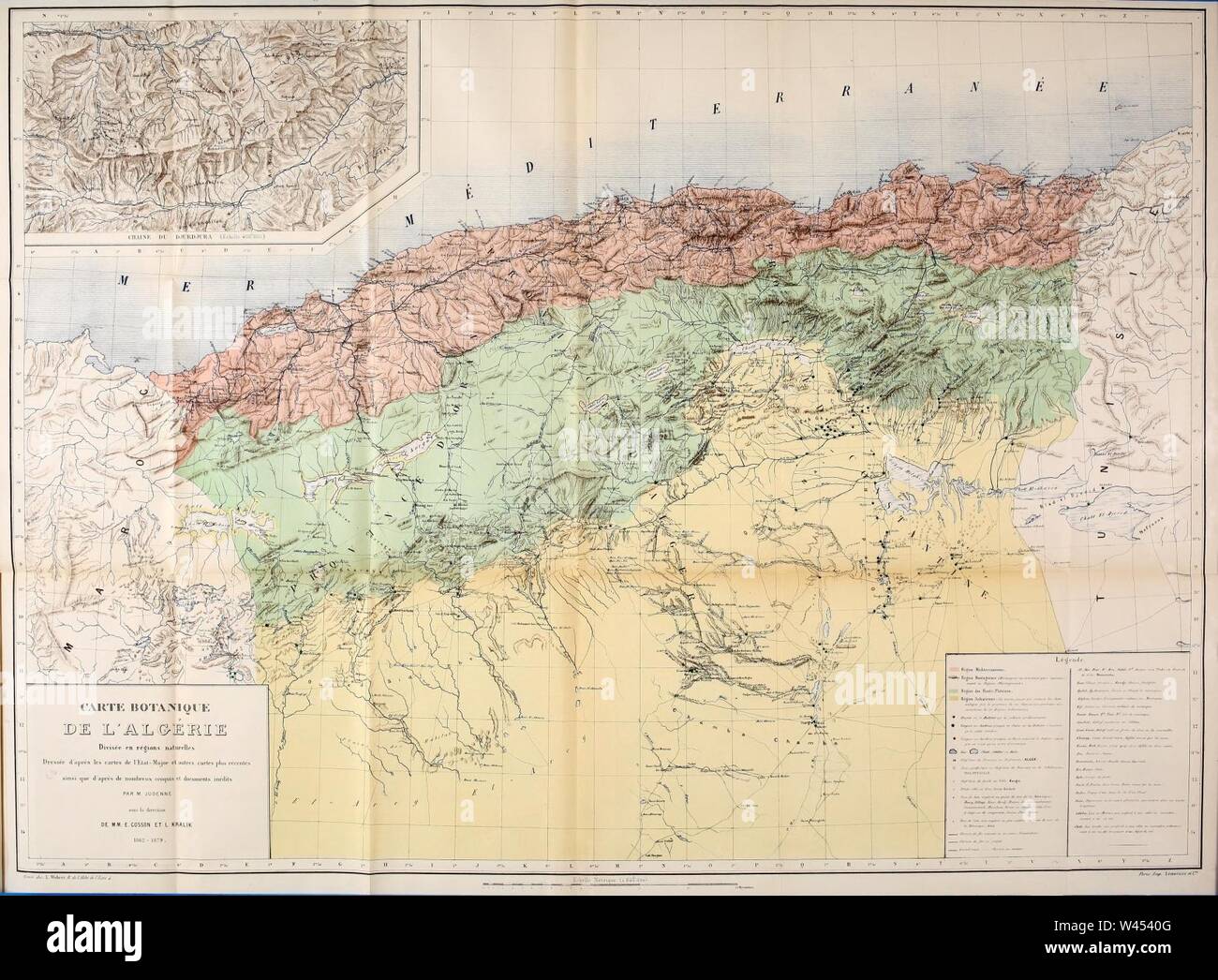 Florae hi-res stock photography and images - Alamy