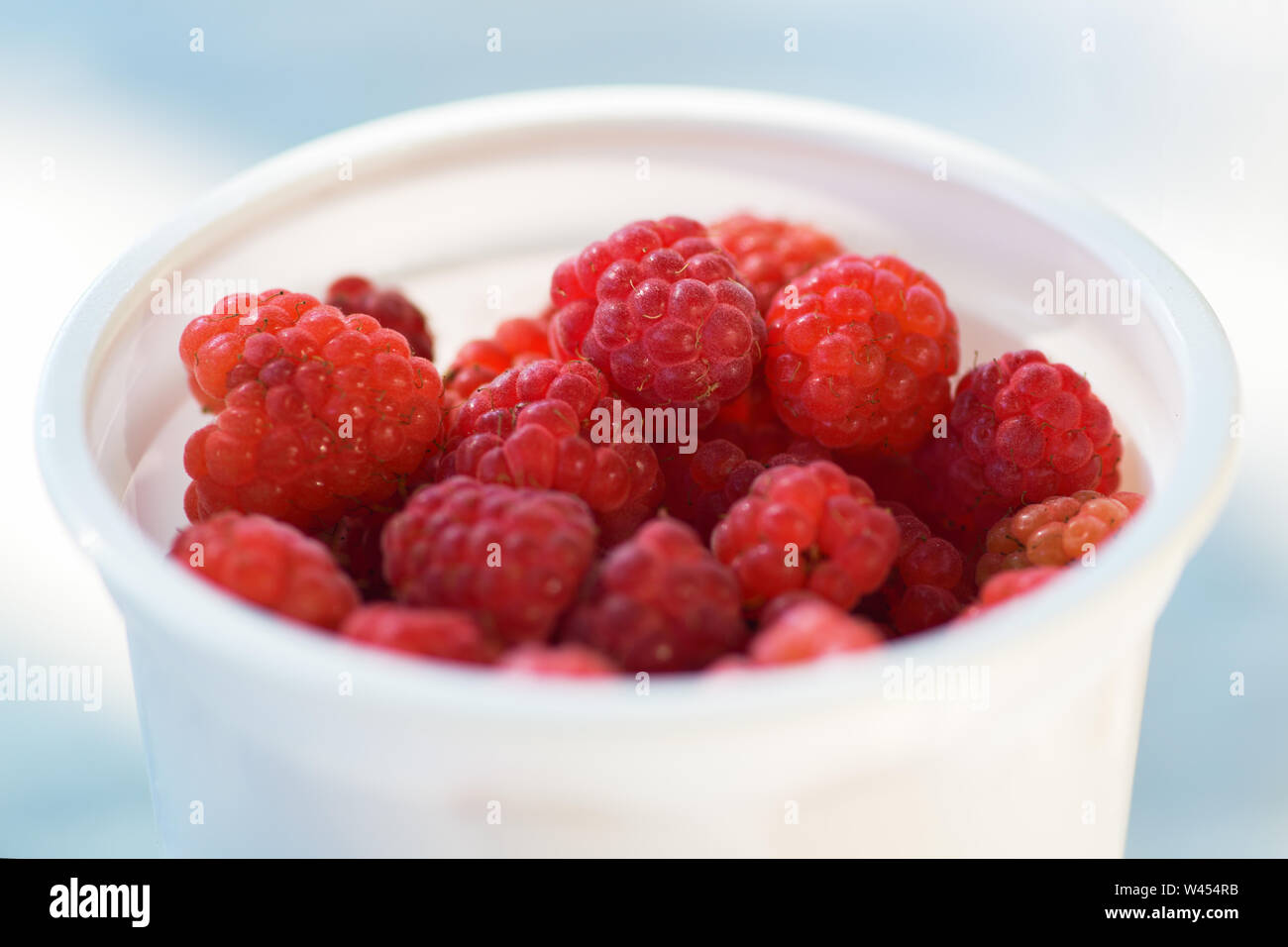 Lots of ripe red raspberries in a white plastic Cup, top view ...