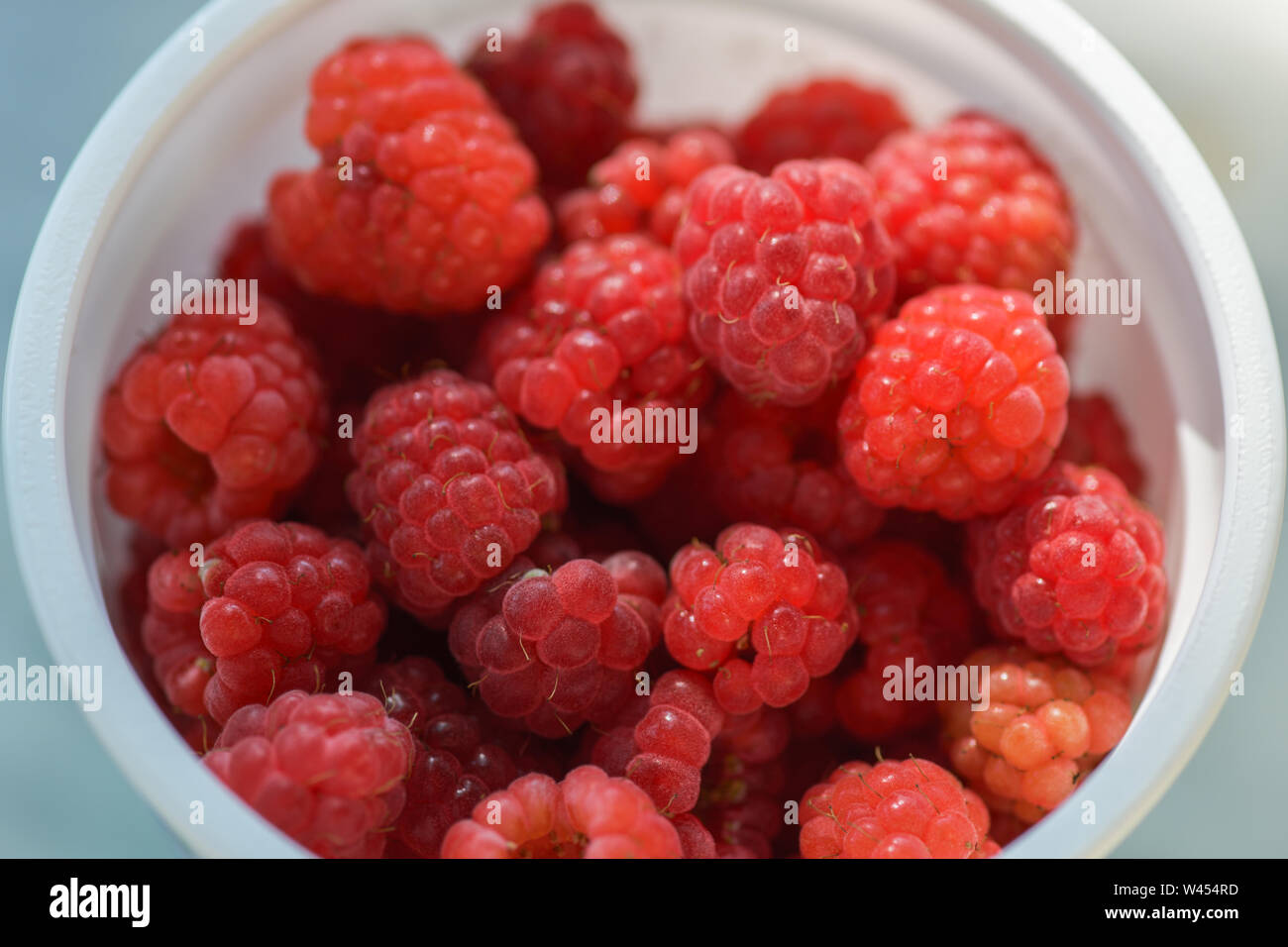Lots of ripe red raspberries in a white plastic Cup, top view ...