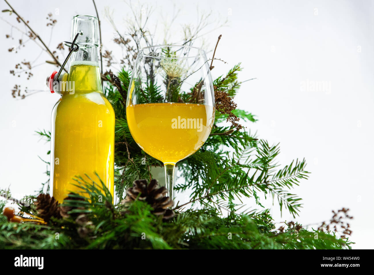 A close-up view of Kombucha tea isolated against a white background ...