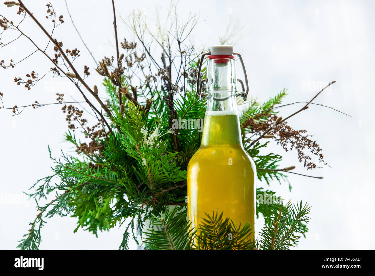 A closeup view of bottled Kombucha and natural foliage, still-life shot ...