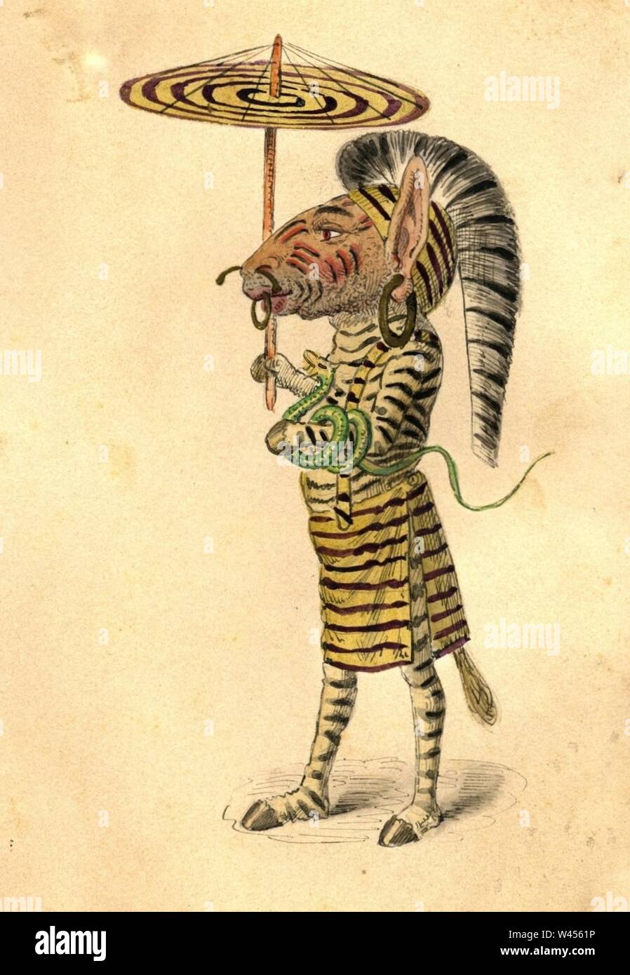 Vintage zebra archival hi-res stock photography and images - Alamy