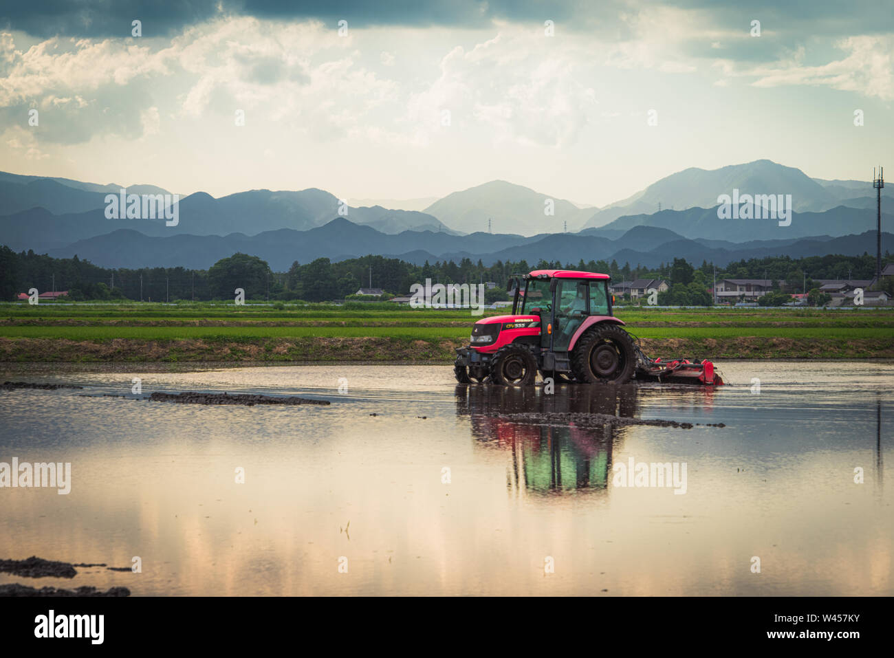 Preparing a rice paddy hi-res stock photography and images - Alamy