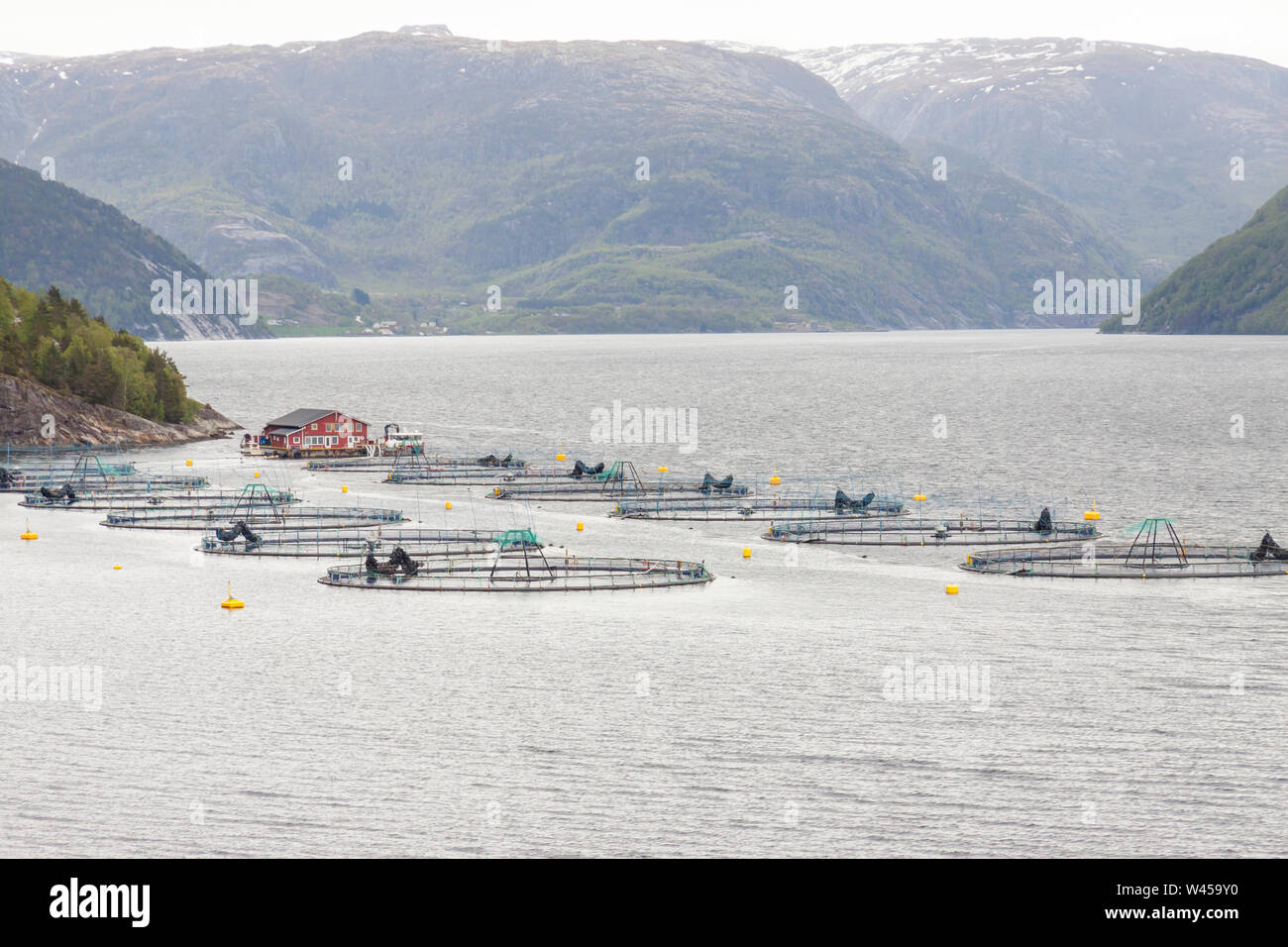 Small fish farm in Norway, Europe Stock Photo - Alamy