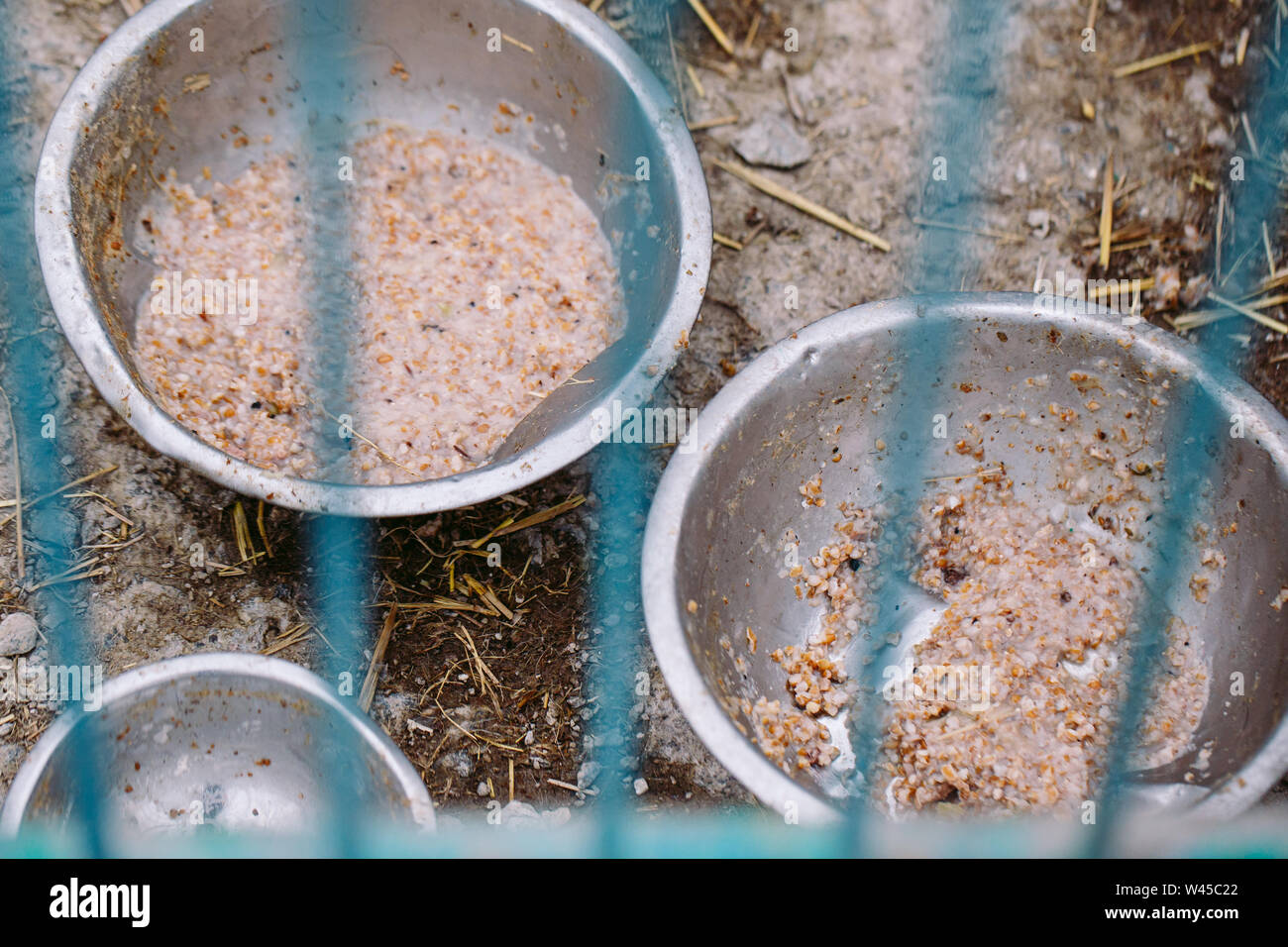 Dog shelter. Half empty bowls with dog food Stock Photo - Alamy