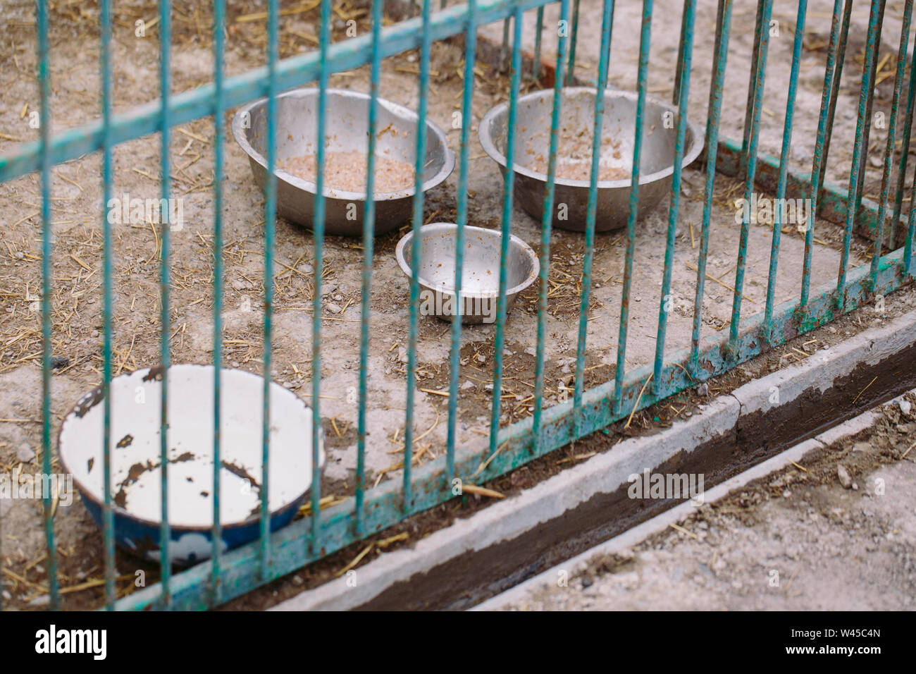 Empty dog shelter hi-res stock photography and images - Alamy