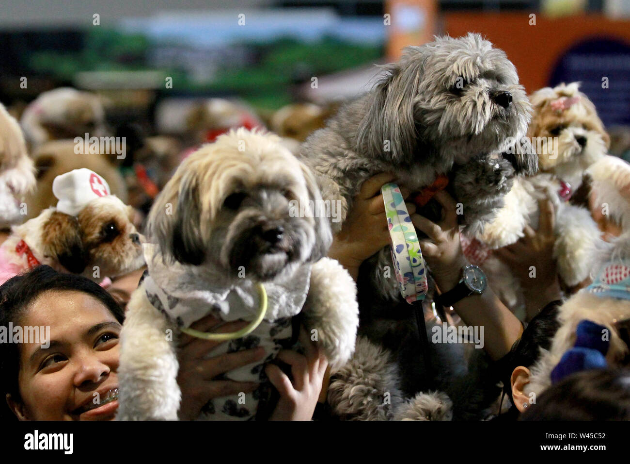 Pasay, Philippines. 20th July, 2019. People raise their pets during the ...
