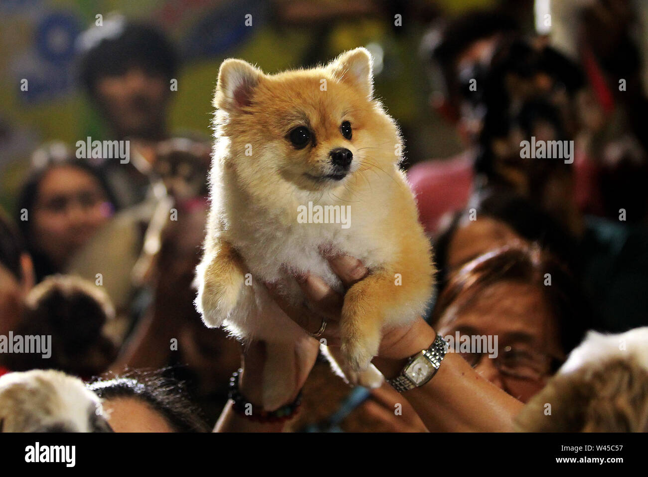 Pasay, Philippines. 20th July, 2019. A participant raises a pet dog ...