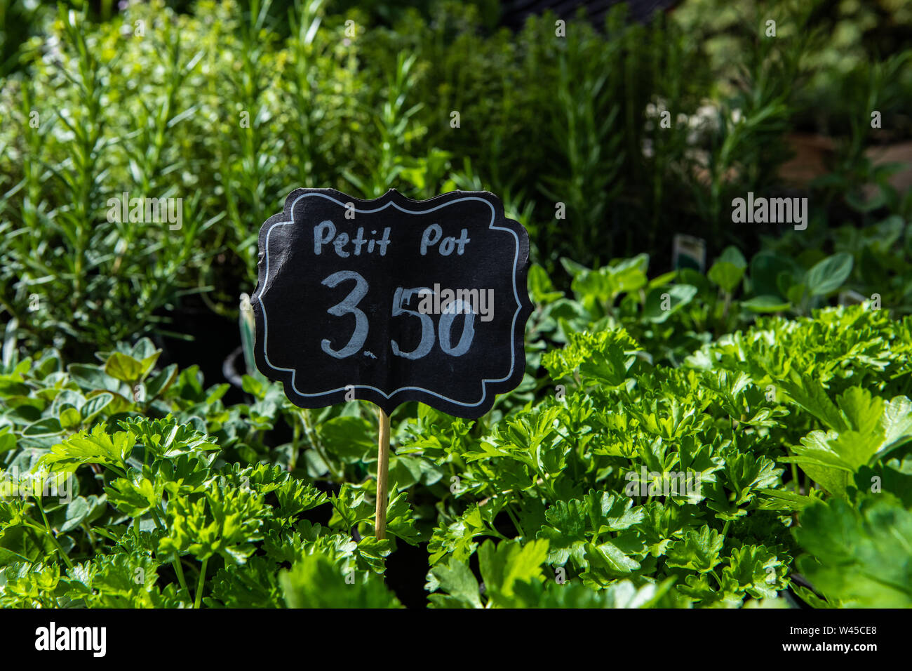 A French price tag showing small pots for sale is viewed close up ...